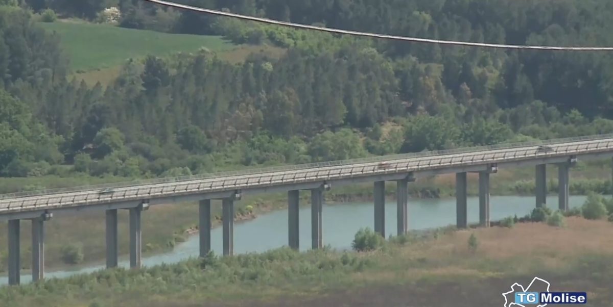 Bifernina: tir impatta contro semaforo. Traffico bloccato - Il giornale ...
