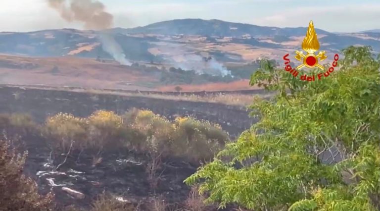 Incendio nelle campagne di Lupara, necessario mezzo aereo Vigili del ...